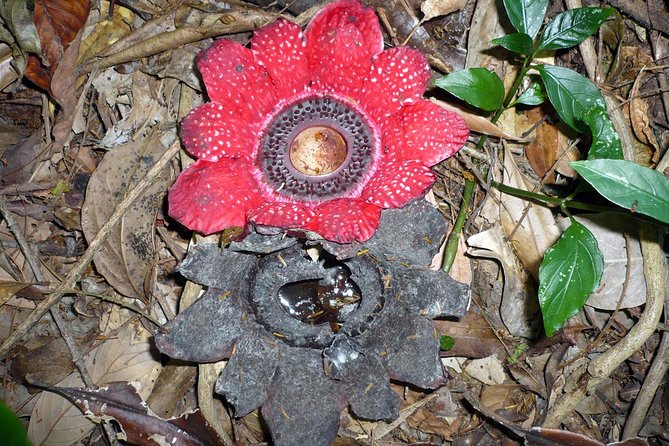 Hike and Kayak with exploring Tuyen Lam Lake in Da Lat - Exploring Tuyen Lam Lake and Its Surroundings