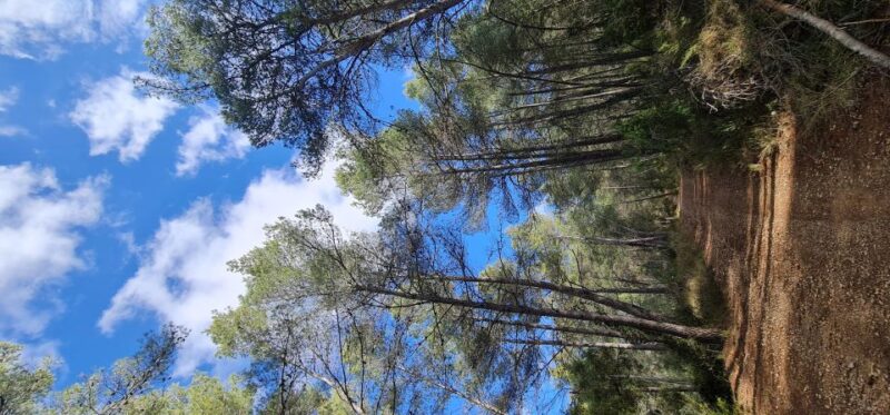 Hike and Swim in Montenejos Thermal Springs - The Overall Value