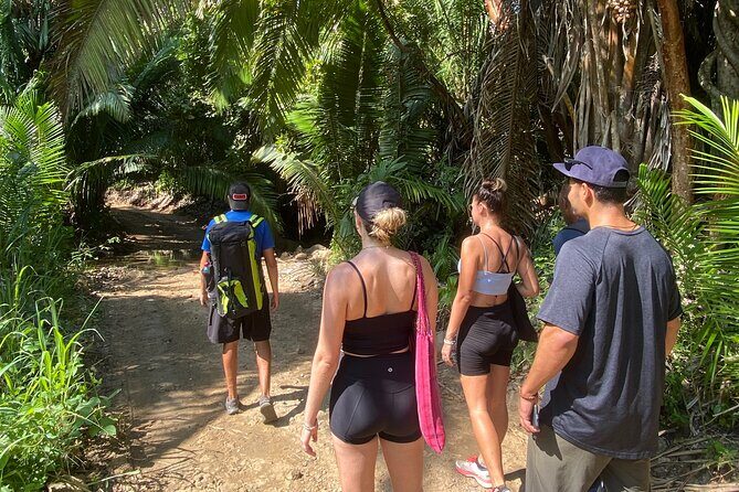 Hike and Yoga Jungle Experience in Mexico - A Closer Look at the Experience
