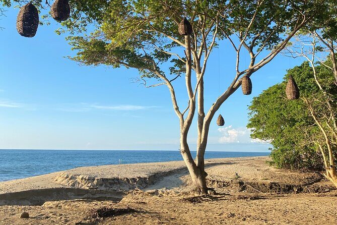 Hike and Yoga Jungle Experience in Mexico - Who Should Consider This Tour?