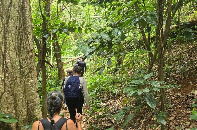 Hike at Charco Prieto for Fairly Experienced Adventurers - FAQ