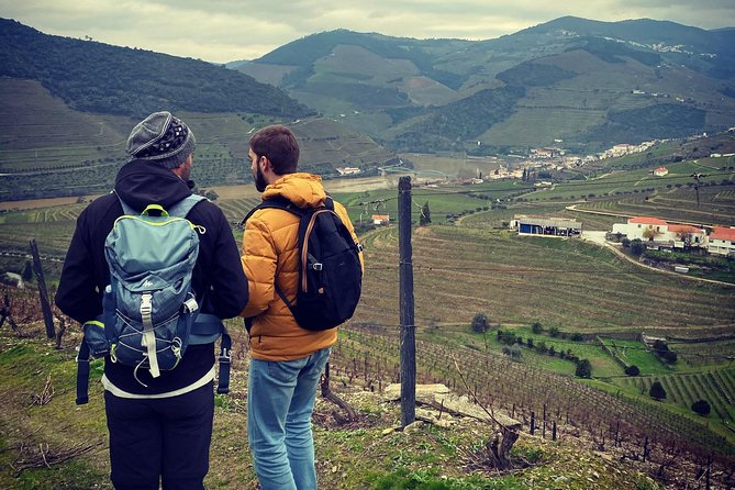 HIKE at DOURO VALLEY W/ Winery Visit and Tasting - Upgrade Option: Douro River Cruise