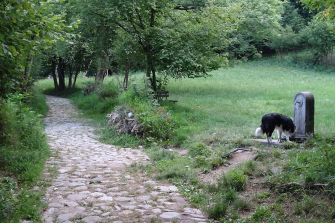 Hike & Beer: beer tasting & breathtaking views at sunset - Final Thoughts: A Unique Blend of Nature, Flavour, and Views