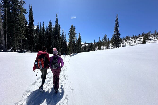 Hike Colorado Trails with Local Guide and Beer Tasting - Exploring Colorados Scenic Trails and Local Brews