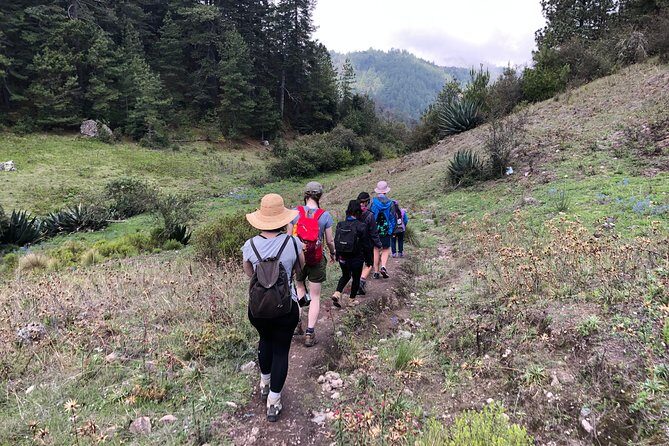 Hike el Camino Real, Latuvi  Lachatao - Price and Value