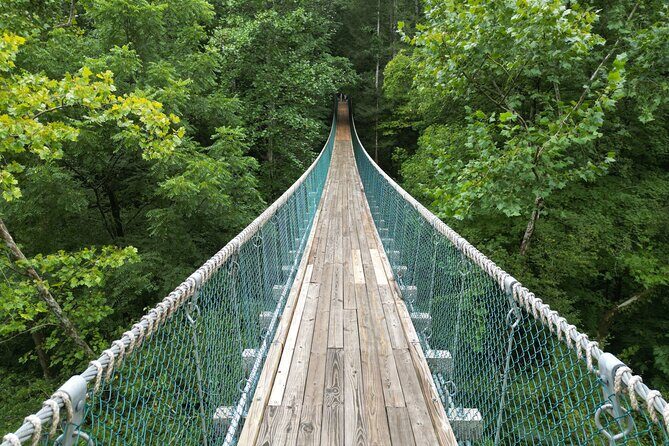 Hike explore and more in The Great Smoky Mountains - Hike, Explore, and More in The Great Smoky Mountains: A Detailed Review
