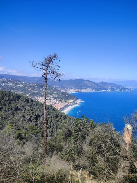 Hike from Varigotti to Noli: the Sentiero del Pellegrino - What to Bring and Be Prepared For