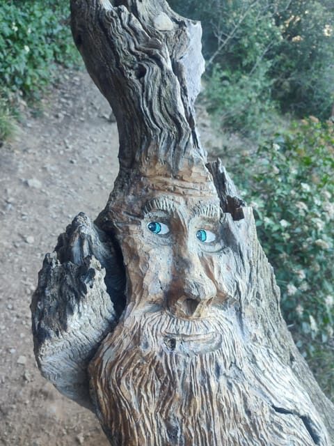 Hike from Varigotti to Noli: the Sentiero del Pellegrino - The Experience Provider