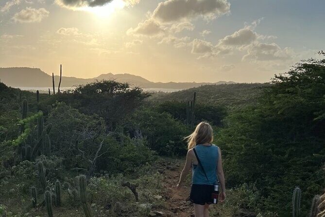 Hike Goto "Flamingo" Meer Trail & Explore North Bonaire - Detailed Review of the Goto "Flamingo" Meer Trail & North Bonaire Tour