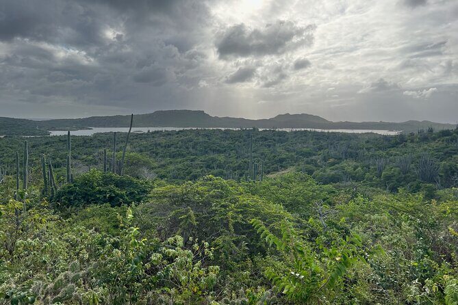 Hike Goto "Flamingo" Meer Trail & Explore North Bonaire - FAQ