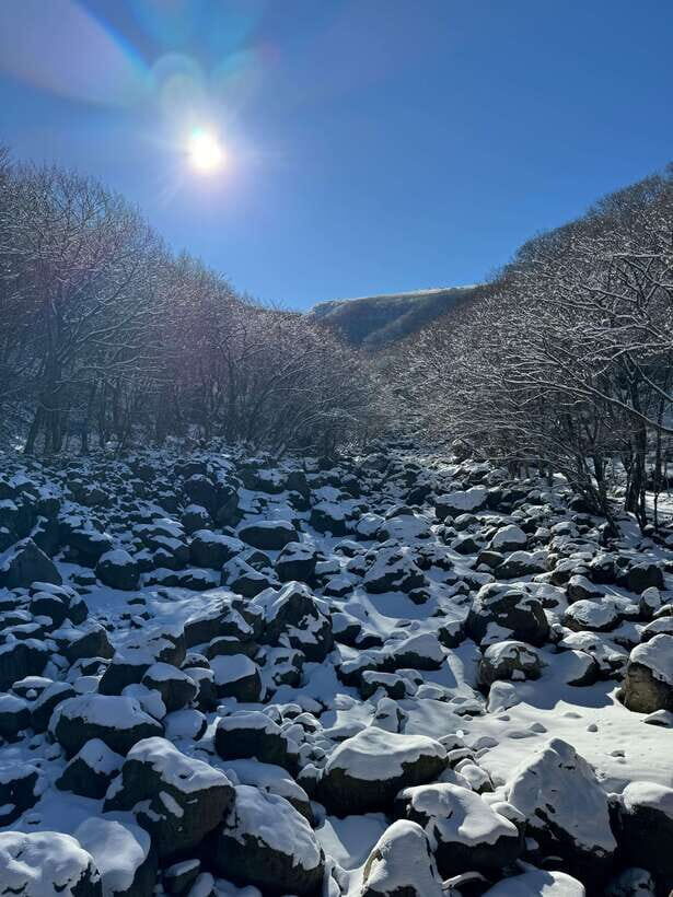Hike Hallasan on Jeju Island, South Korea's highest mountain - Key Points