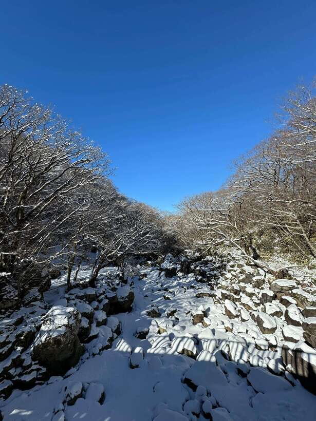 Hike Hallasan on Jeju Island, South Korea's highest mountain - The Guide and the Experience