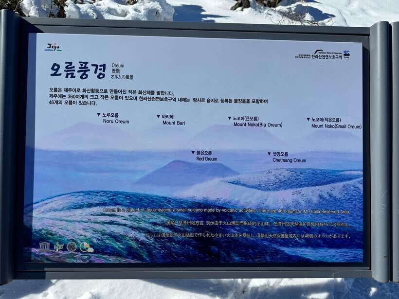 Hike Hallasan on Jeju Island, South Korea's highest mountain - The Value of This Tour