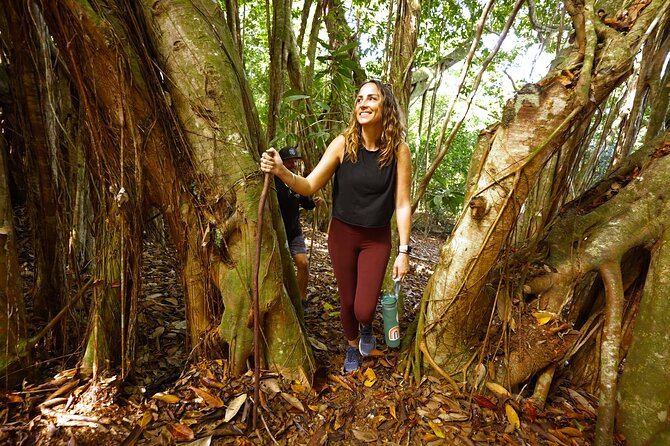 Hike Honolua Ridgeline - Tour Highlights and Experience