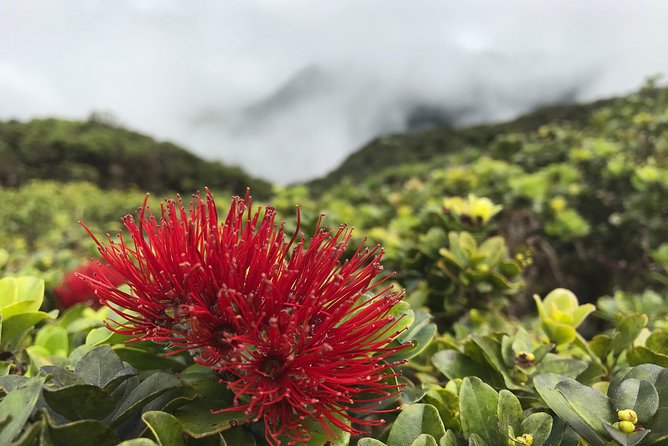 Hike Honolua Ridgeline - Frequently Asked Questions
