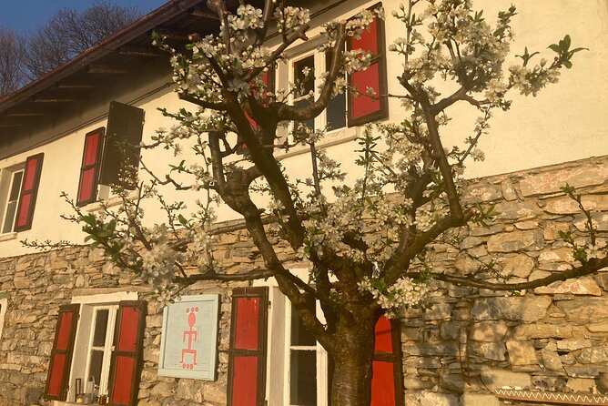 Hike in Blevios Forest for a Private Yoga Class - Practical Details and What to Consider