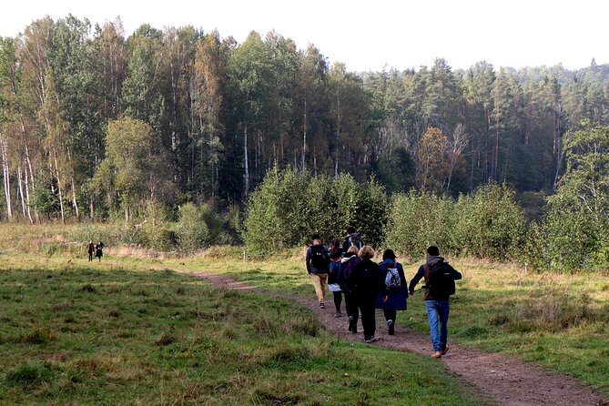 Hike In Gauja National Park - Up And Down The Switzerland Of Latvia - Pricing and Booking Details