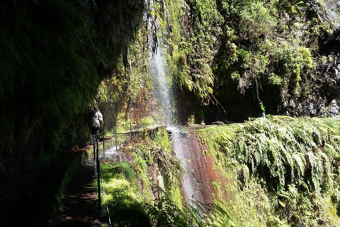 Hike in Laurisilva Levada Do Rei - Madre of Life Small Group Guided Walk - Exploring the Stunning Laurisilva Vegetation