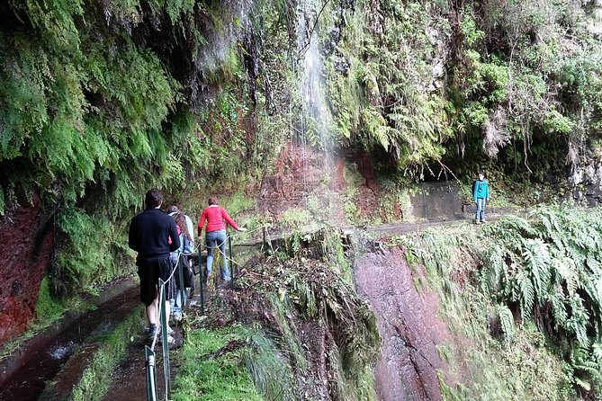 Hike in Laurisilva Levada Do Rei - Madre of Life Small Group Guided Walk - Small Group Experience and Certified Guide