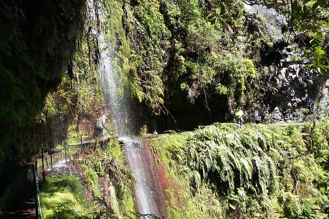 Hike in Laurisilva Levada Do Rei - Madre of Life Small Group Guided Walk - Inclusions, Exclusions, and Additional Information
