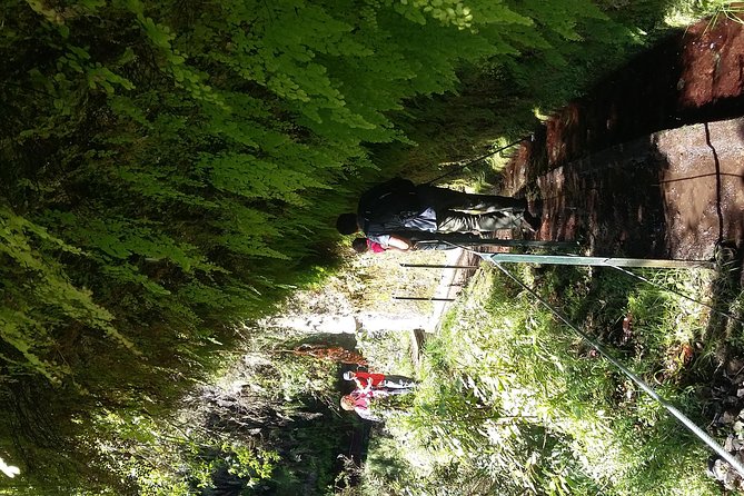 Hike in Laurisilva Levada Do Rei - Madre of Life Small Group Guided Walk - Traveler Reviews and Ratings