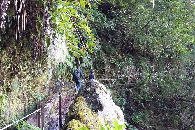 Hike in Laurisilva Levada Do Rei - Madre of Life Small Group Guided Walk - Pricing and Booking Details