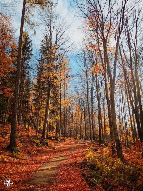 Hike in Polish Mountains: Day trip to Rudawy Janowickie - Why This Tour Is a Great Choice