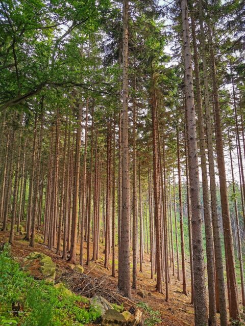 Hike in Polish Mountains: Day trip to Rudawy Janowickie - FAQ