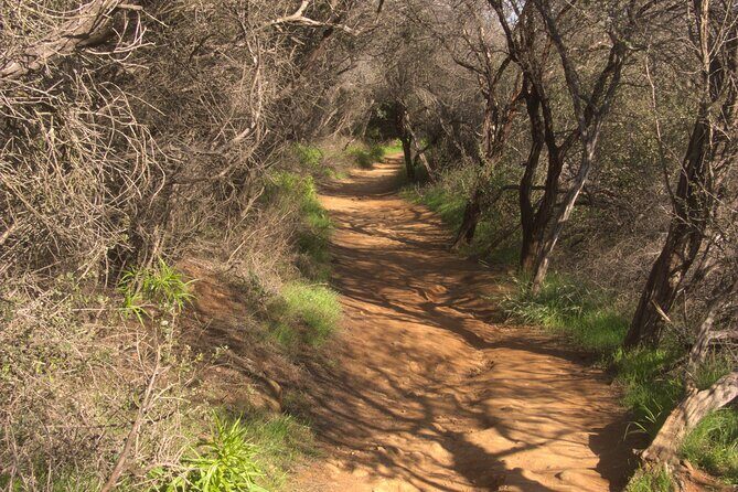 Hike in the Santa Monica Mountains - A Closer Look at the Santa Monica Mountains Hike