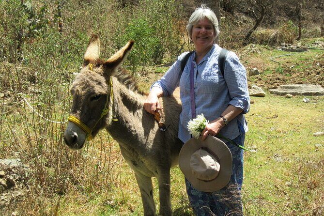 Hike in the Sierra de Santa Rosa - Frequently Asked Questions