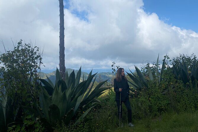 Hike in the Sierra Norte, Cuajimoloyas - An In-Depth Look at the Cuajimoloyas Hike