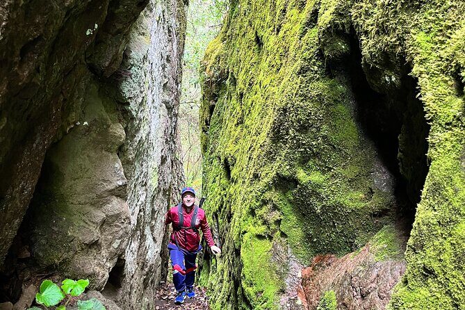 Hike in the Sierra Norte, Cuajimoloyas - The Sum Up
