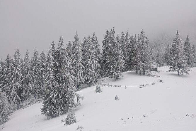 Hike in the Wild Private Photo Tour - FAQ