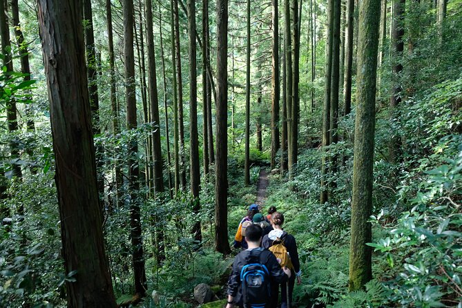 Hike Japan Heritage Hakone Hachiri (Half Day) - Historical Context
