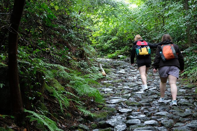 Hike Japan Heritage Hakone Hachiri (Half Day) - Weather Considerations