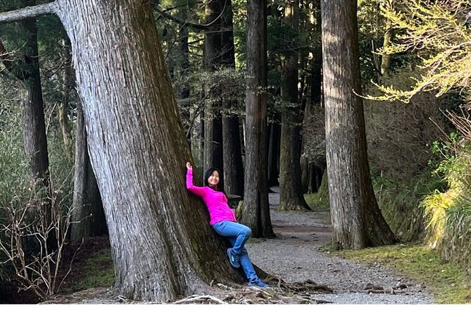 Hike Japan Heritage Hakone Hachiri With Certified Mountain Guide - Meeting and End Points