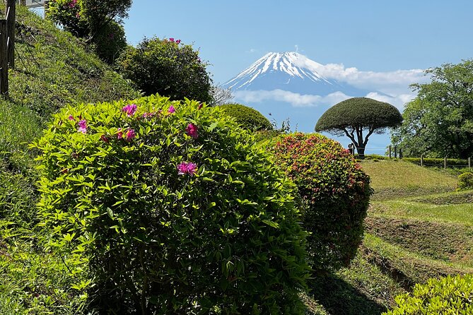 Hike Japan Heritage Hakone Hachiri With Certified Mountain Guide - Tour Details