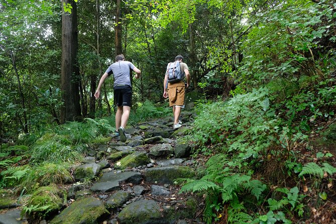 Hike Japan Heritage Hakone Hachiri With Certified Mountain Guide - Physical Requirements