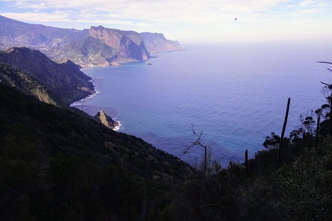 Hike Larano, Boca do Risco Porto da Cruz Levada in a small group - Who Should Consider This Tour?