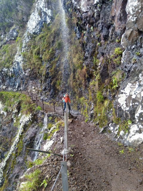 Hike: Machico- Boca do Risco -Porto da Cruz - Following the Levada: A Taste of Rural Madeira