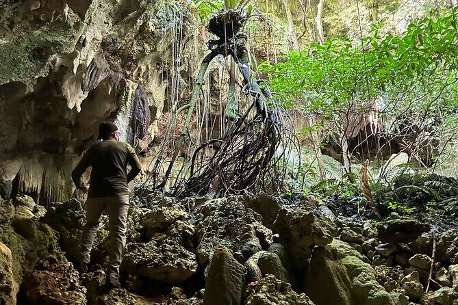 Hike Manantial De Guayaney Moderate Adventure - What’s Included and What’s Not