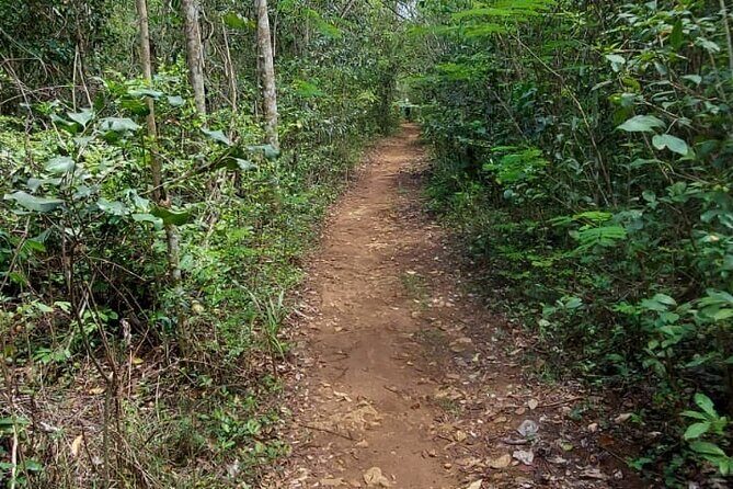 Hike Manantial De Guayaney Moderate Adventure - Who Will Love This Experience?