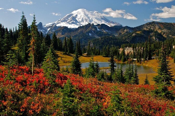 Hike Mt. Rainier & Taste Yakima Valley Wine: All-Inclusive Day Tour from Seattle - Hike Mt. Rainier & Taste Yakima Valley Wine: All-Inclusive Day Tour from Seattle