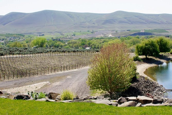 Hike Mt. Rainier & Taste Yakima Valley Wine: All-Inclusive Day Tour from Seattle - Authentic Experiences and Honest Feedback