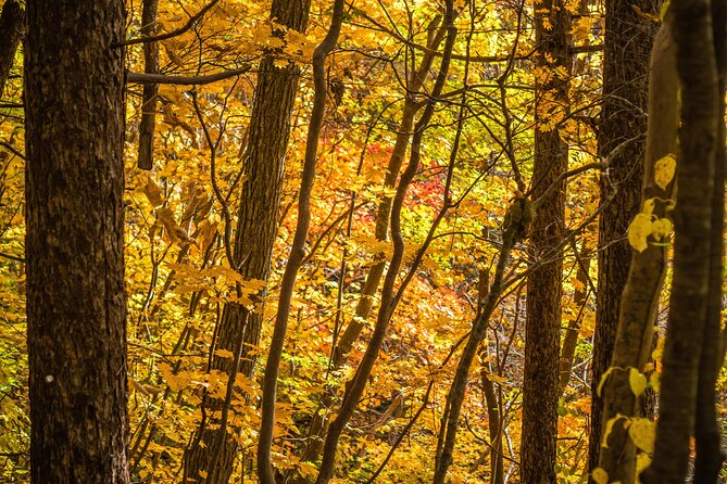 Hike Mt. Usu and Visit Lake Toya Day Tour - Exploring Mt. Usu