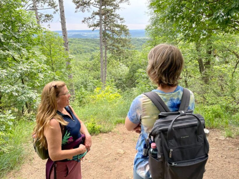 Hike, nature & picturesque view over Budapest - Exploring Budapest’s Green Heart: A Guided Hike Through the Buda Hills