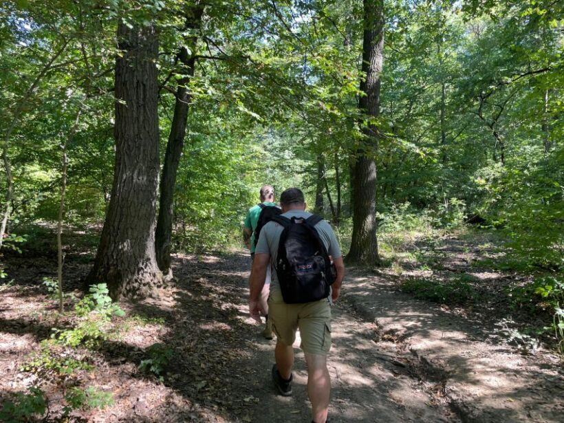 Hike, nature & picturesque view over Budapest - Key Points
