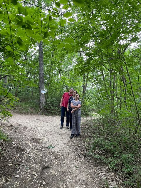 Hike, nature & picturesque view over Budapest - What Reviewers Say