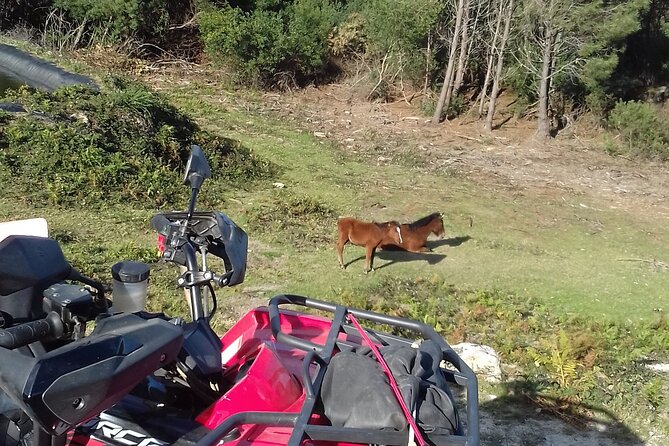 Hike Quad Mountain Altitude 825M / Hike Atv Mountain Altitude 825M - Safety Precautions and Equipment