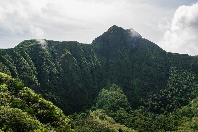 Hike St. Kitts: Highest peak Mount Liamuiga Volcano - An In-Depth Look at the Mount Liamuiga Hike